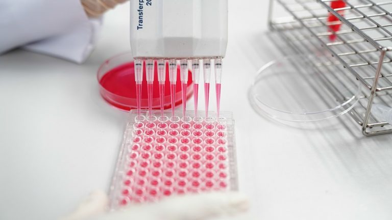 About us – Department of Microbiology and Immunology