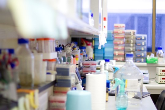 Laboratory Rooms – Department of Microbiology and Immunology